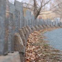 Come si fa a comprare un loculo al cimitero? La guida completa!